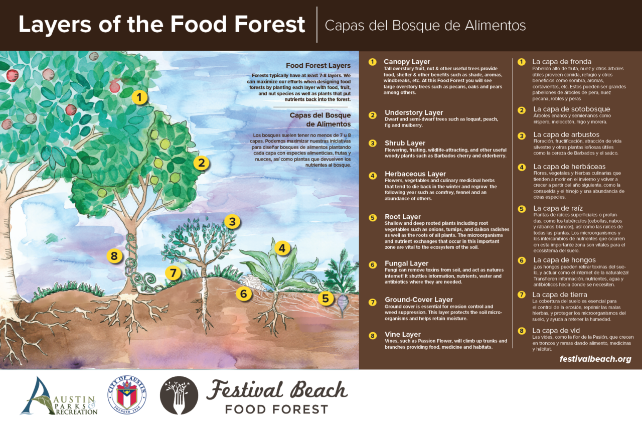 Frequently Asked Questions - Festival Beach Food Forest